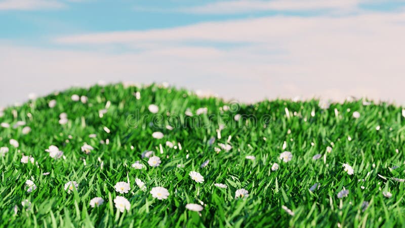 Easter Landscape with Daisy Flower on Field. 3d Render Stock ...