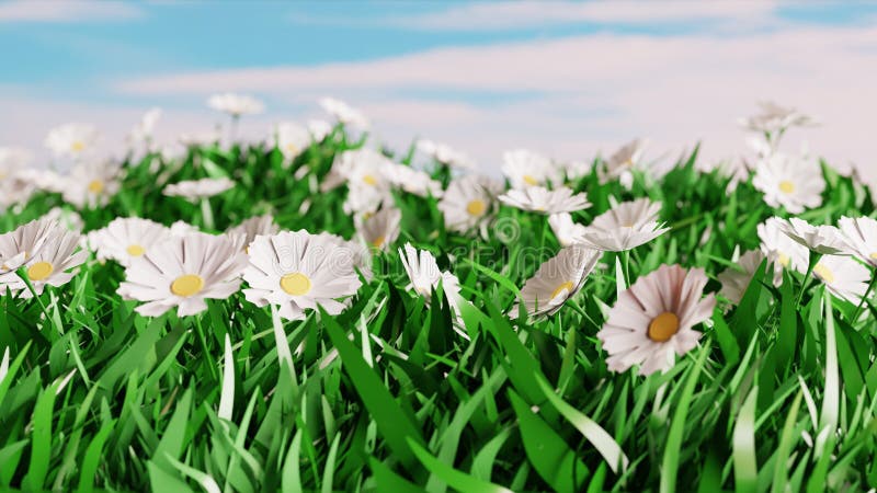 Easter Landscape with Daisy Flower on Field. 3d Render Stock ...
