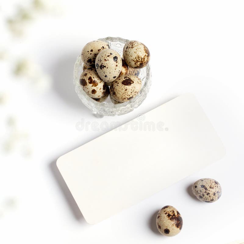 Easter Monochrome Card with Quail Eggs, Empty White Blank Note with ...