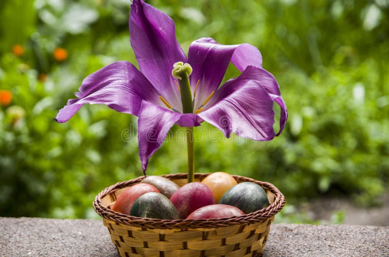 Easter mood stock image. Image of feel, colored, eggs - 68649163