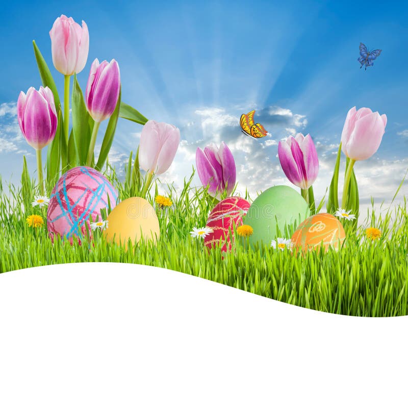 Easter Nature Holiday Background Stock Image - Image of eggs, nature ...