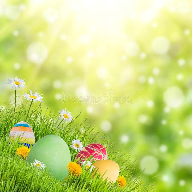 Easter Nature Holiday Background Stock Image - Image of eggs, nature ...
