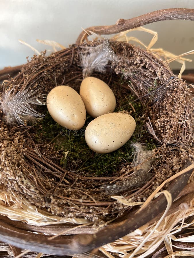 Easter Nest with Eggs and Natural Twigs, Symbolizing Spring and ...