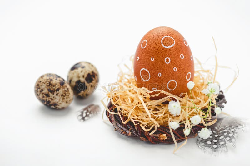 Easter Nest with Hand-painted Egg on a Light Background Stock Image ...
