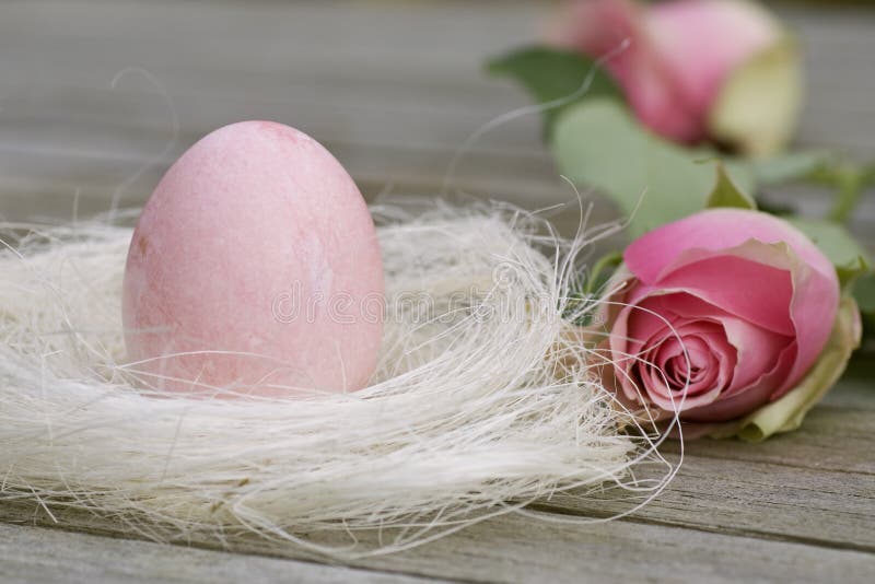 Easter Nest with Rose and Egg in Pink Stock Photo - Image of table ...