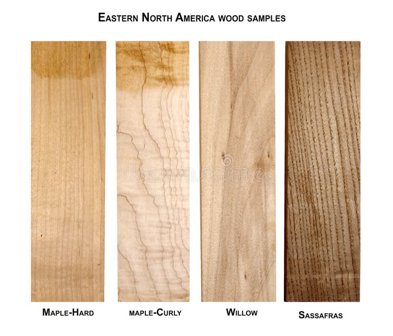 Easter North America Wood Samples Stock Image - Image of grain ...