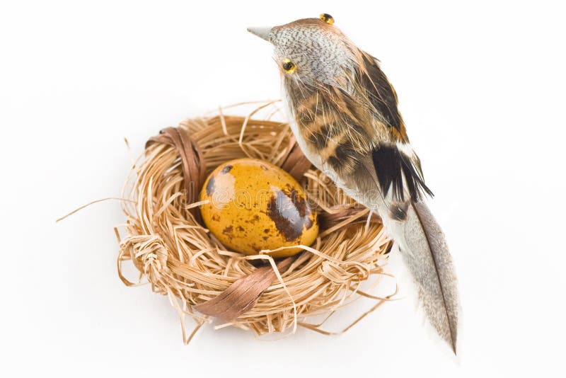 Easter Orange Egg in Nest with Bird Stock Image - Image of bird ...