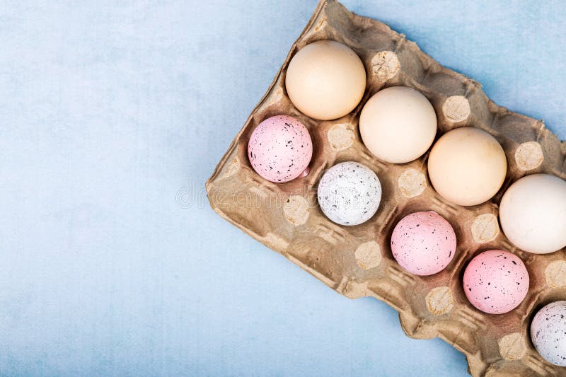 Easter Pink and White Eggs in an Egg Stand on a Blue Background ...