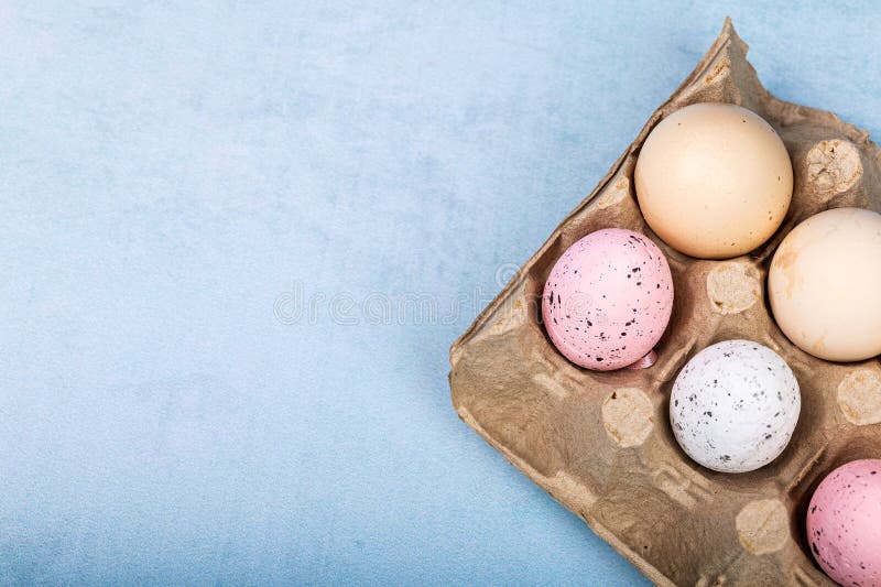 Easter Pink and White Eggs in an Egg Stand on a Blue Background, Painted Chicken Eggs for Easter ...