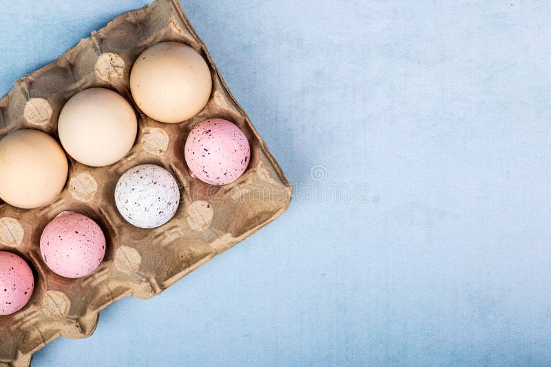 Easter Pink and White Eggs in an Egg Stand on a Blue Background ...