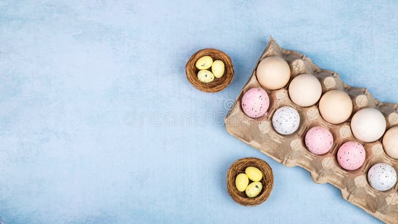 Easter Pink and White Eggs in an Egg Stand on a Blue Background ...