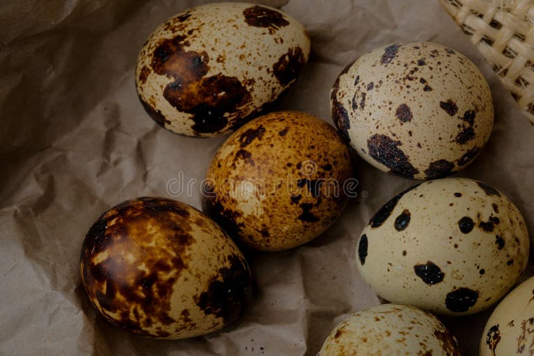 12,745 Easter Paper Craft Stock Photos - Free & Royalty-Free Stock ...