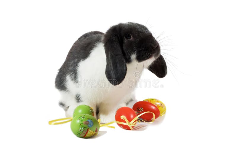 Easter rabbit stock image. Image of white, easter, holiday - 8694895