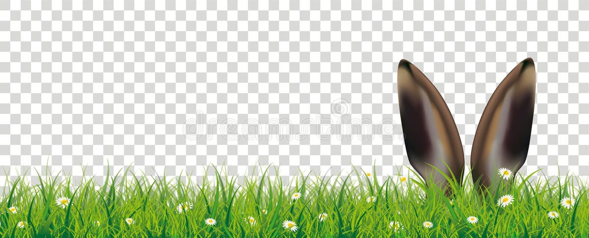 Rabbit Ears Transparent Background Stock Illustrations – 1,107 Rabbit ...
