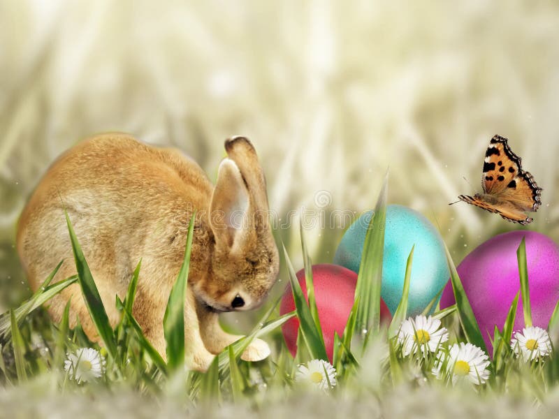 Easter Rabbit with Easter Eggs in Grass Stock Photo - Image of event ...