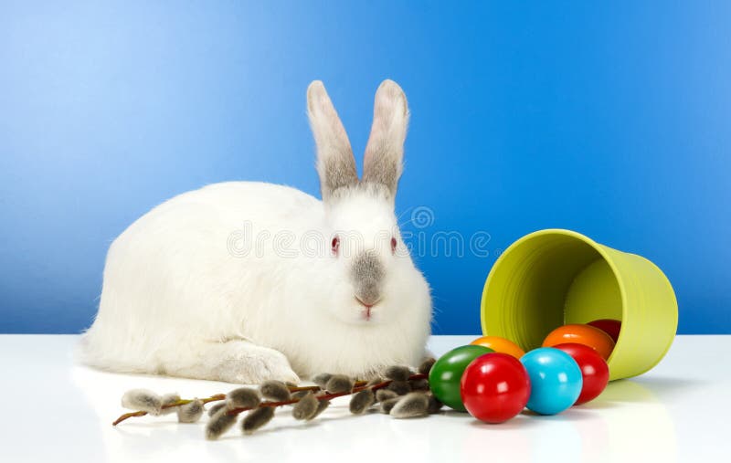 Easter rabbit and eggs stock photo. Image of tulips, metal - 38186662