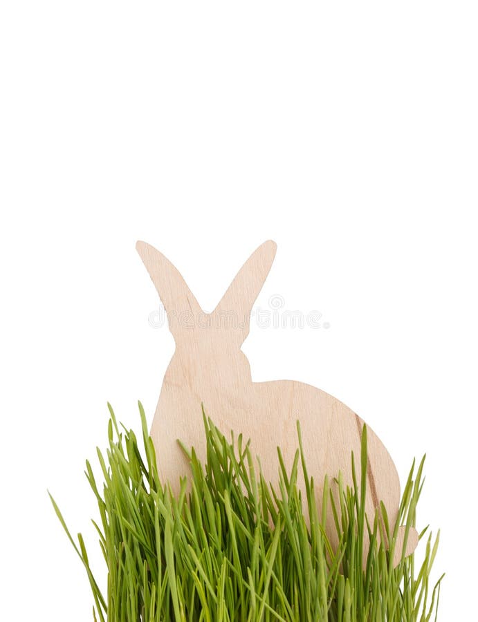 Easter rabbit on grass stock photo. Image of rabbit, traditional - 19011078