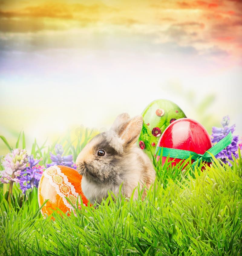 Easter Rabbit on Grass with Eggs and Spring Flowers, Easter Card Stock ...