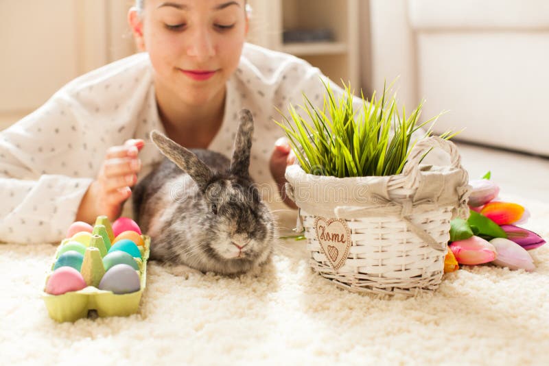 Easter rabbit in home stock photo. Image of interior - 108403378