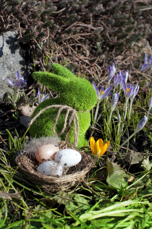 Rabbit with Eggs and Crocus Stock Image - Image of nest, flowers: 271262097