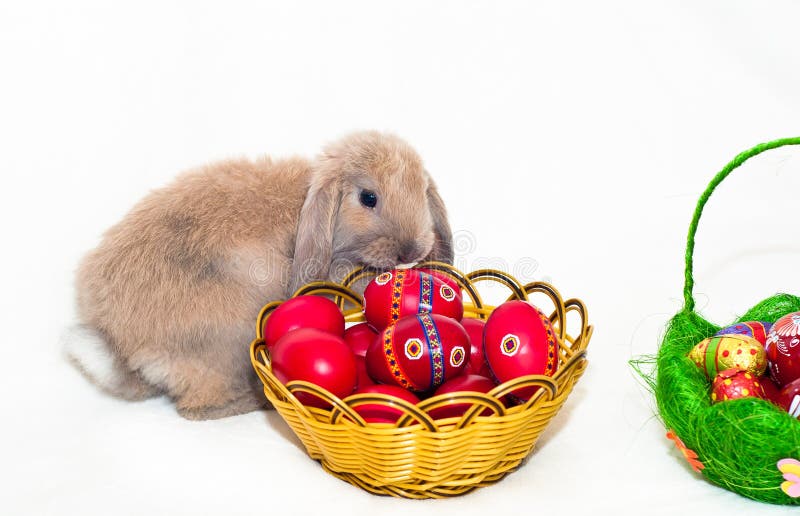 Basket with Red Easter Eggs Stock Image - Image of traditional, spring ...
