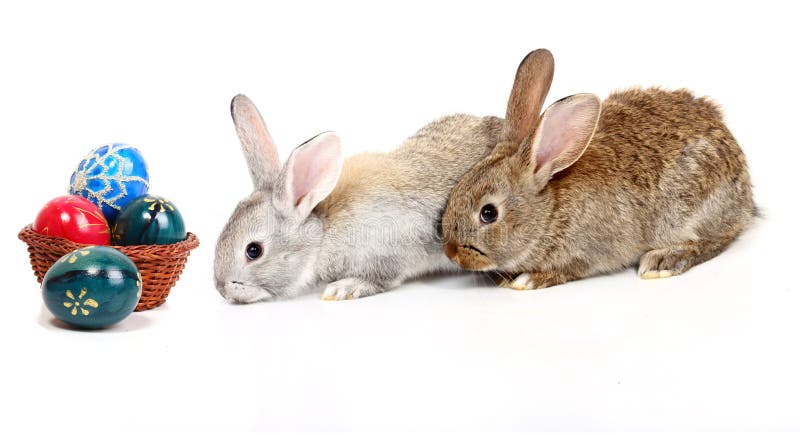 Easter rabbits stock image. Image of observing, nosing - 13069285
