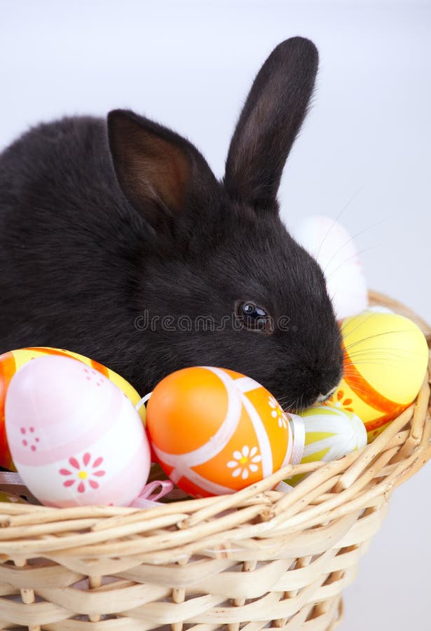 Easter Rabbits stock image. Image of pets, pretty, handmade - 19195933