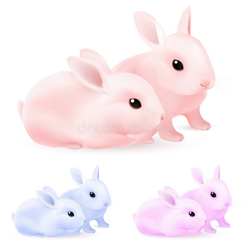 Rabbit stock vector. Illustration of rabbit, hare, character - 13987479