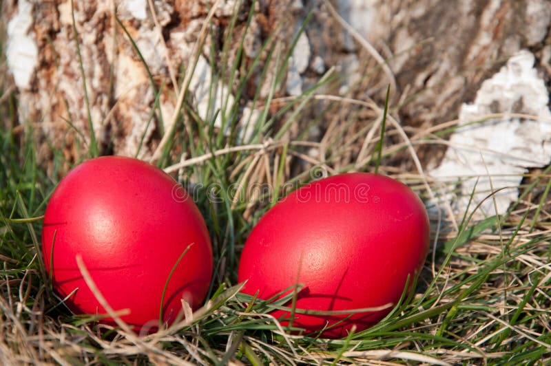 Easter red egg stock photo. Image of selective, culture - 24068886
