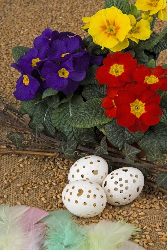 Easter retirement stock photo. Image of feathers, garden - 8679952