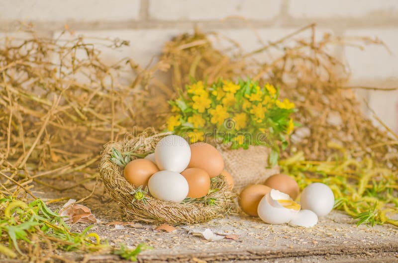 Easter Rustic Background with Chicken Eggs in Straw Nest on Old Board ...