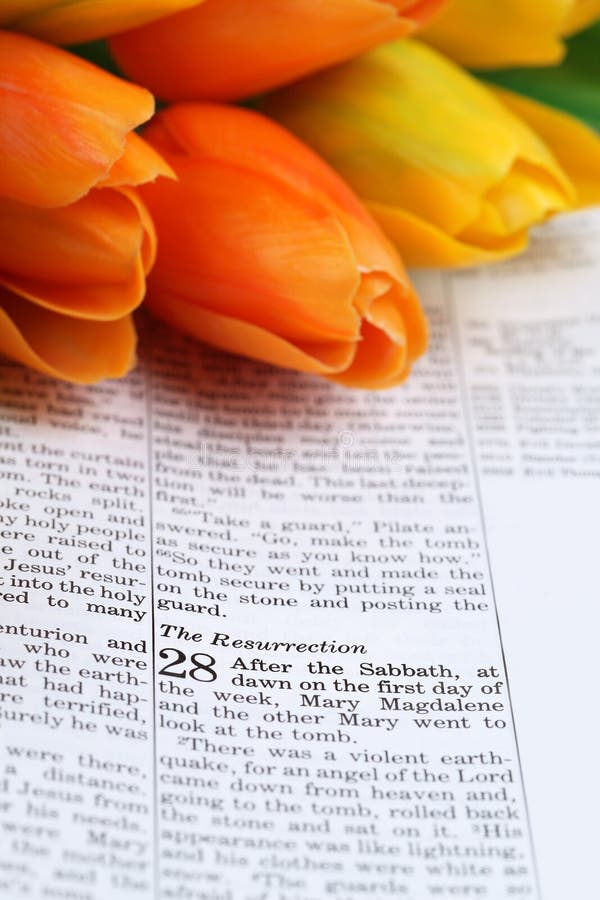 Easter Scripture in Matthew 28 Stock Photo - Image of testament, open ...