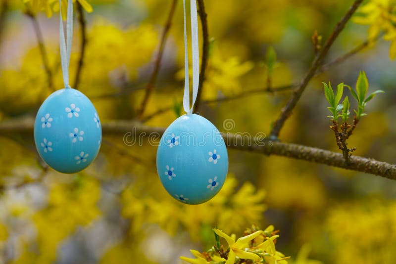 Easter shrub in the garden stock photo. Image of decoration - 197654760