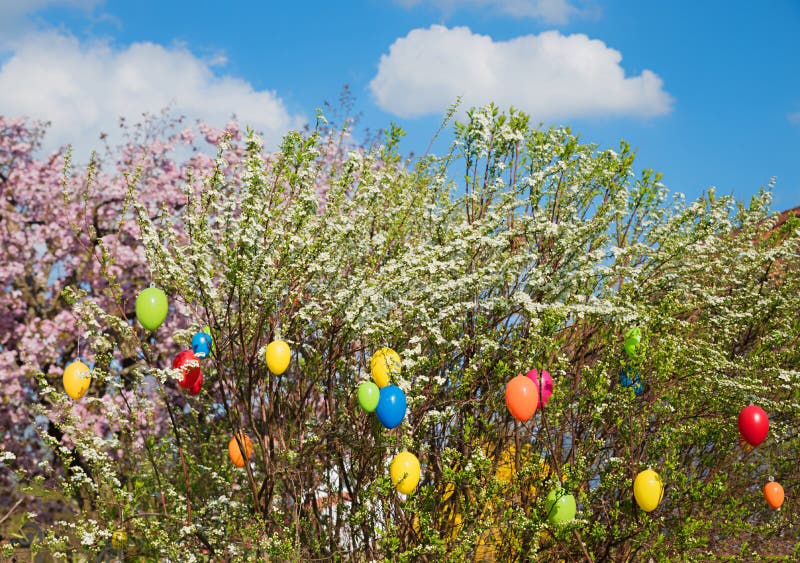 Easter Shrub with Hanging Colorful Eggs, Blue Sky with Clouds Stock ...