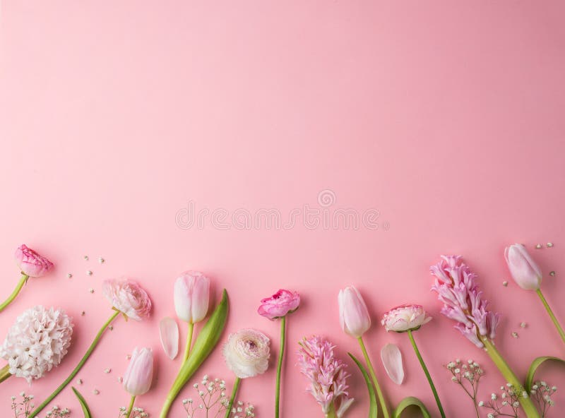 Spring Flat Lay Composition with Lettering, Pink Background with ...
