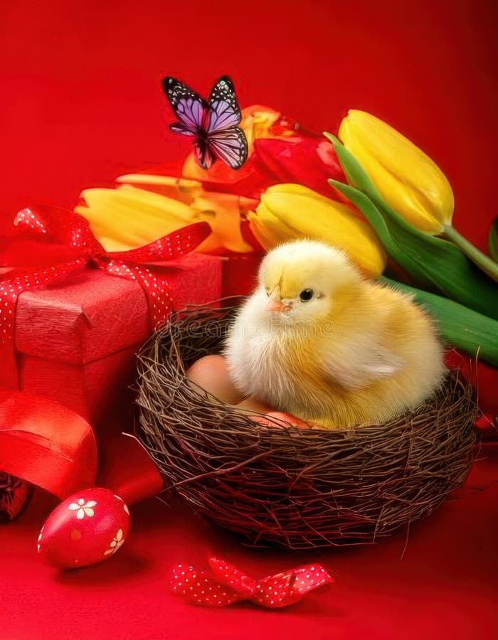 Easter Spring Nest with Eggs Tulips Butterfly and Baby Chick Stock ...