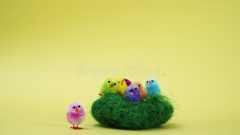 Easter Stop Motion Animation Chicken in Nest Stock Video - Video of ...