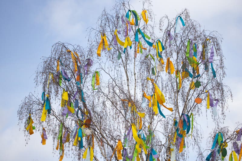 Easter Tree Birch Decorated with Colorful Ribbons Stock Image - Image ...