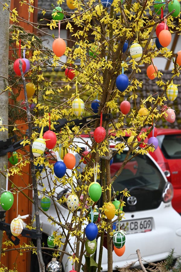 Easter Tree Decorated with Colorful Easter Eggs. Germany, Europe ...