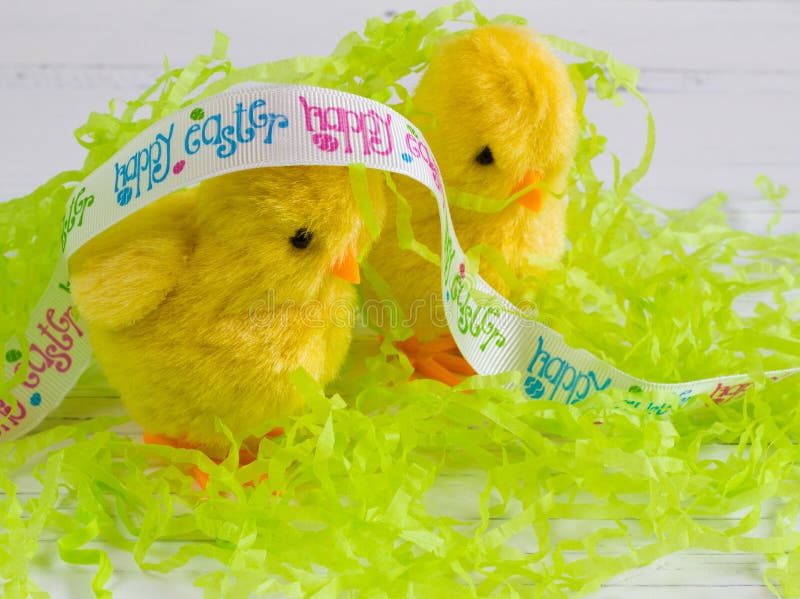 Easter - Two Happy Easter Chicks on White Wood Background Stock Photo ...