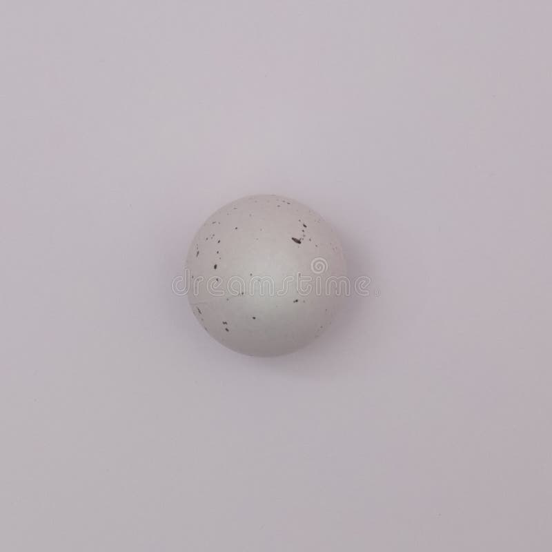 Easter White Egg with Black Spots with Copy Space on a White Background ...