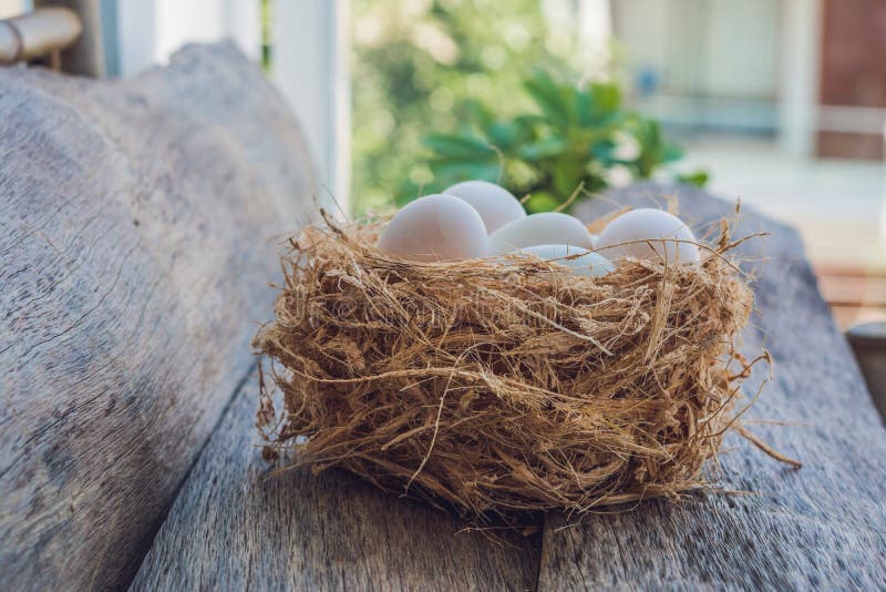 Easter White Eggs in the Nest. Easter Concept Stock Photo - Image of ...