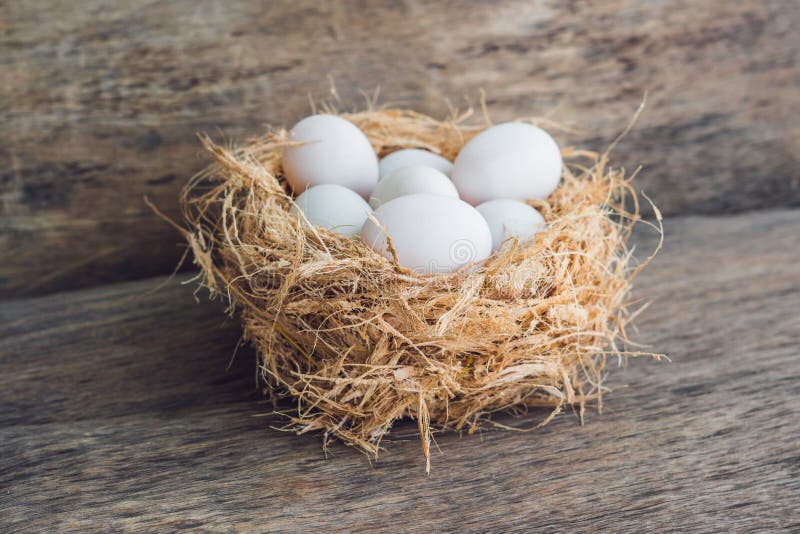Easter White Eggs in the Nest. Easter Concept Stock Image - Image of ...