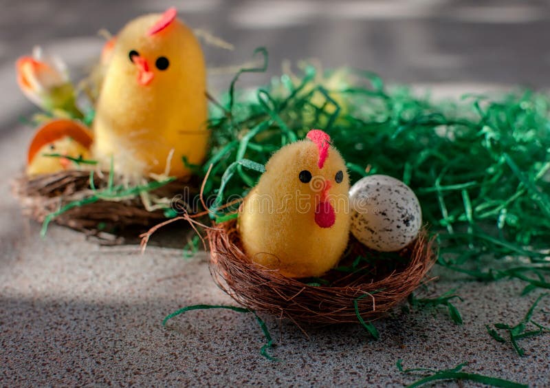Easter Yellow Chicken in the Nest. Stock Image - Image of easter ...