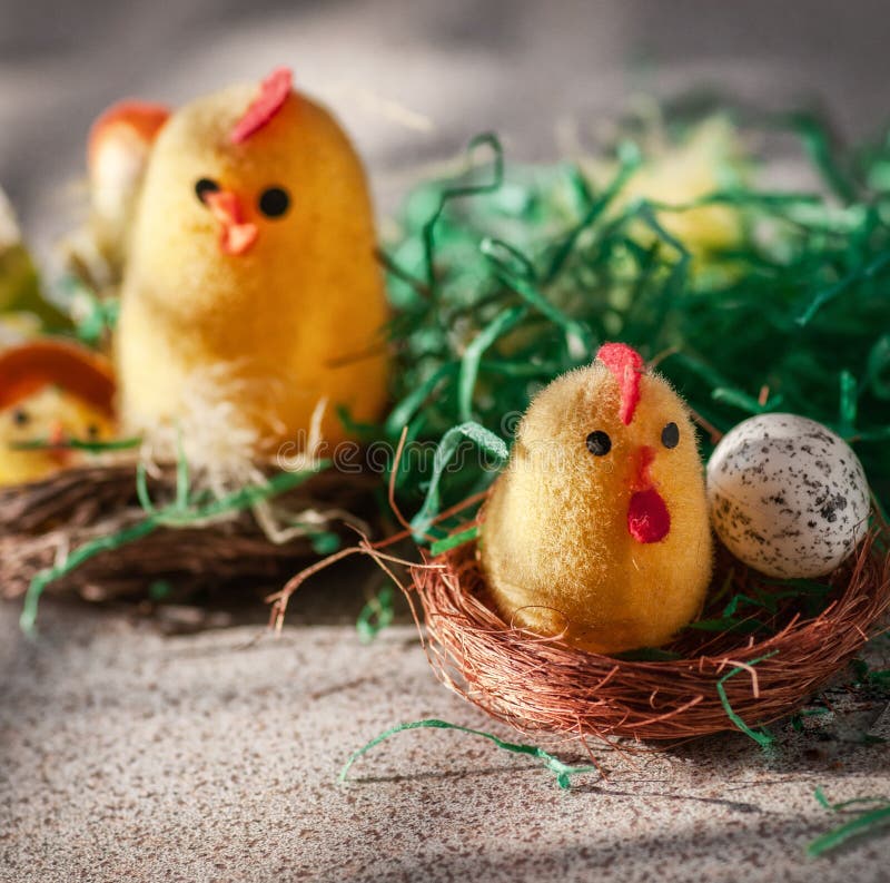 Easter Yellow Chicken in the Nest. Stock Image - Image of nest, spring ...