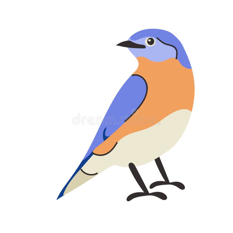Eastern Bluebird Icon Clipart Logotype Isolated Vector Illustration ...
