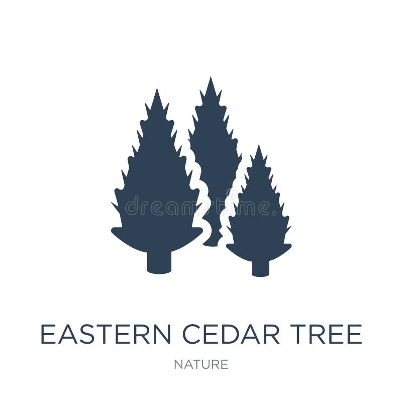 Eastern Cedar Tree Icon in Trendy Design Style. Eastern Cedar Tree Icon ...