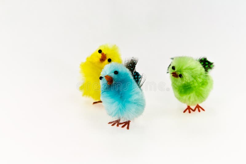 Eastern Chicken Picture. Image: 4527372