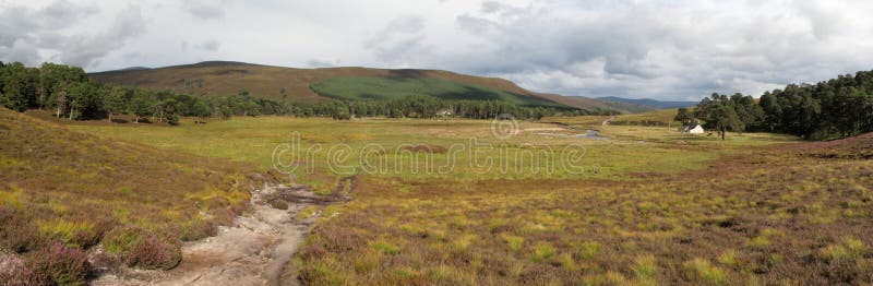 Eastern Highlands, Scottland Stock Photo - Image of reservation, park ...