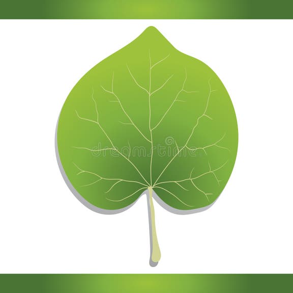 Redbud Stock Illustrations – 47 Redbud Stock Illustrations, Vectors ...